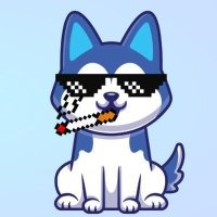 Base Inu(BASE INU)实时行情,Base Inu(BASE INU)的流通市值,24h成交额,图表以及简介 | CoinCarp