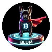 Buy BLUM Token: Securely Buy & Sell BLUM | CoinCarp
