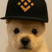 PUP (PUP-USD) Historical Prices | CoinCarp