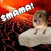 Screaming Hyrax(MAMA)历史价格_Screaming Hyrax(MAMA)历史行情回顾 | CoinCarp