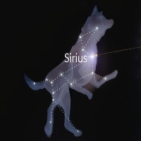 Precio sirius the dog star Hoy: Gráfico sirius en Euro y Dólar | CoinCarp