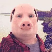 Best The Cult of John Pork (PORK) Wallets | CoinCarp