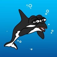 Tilly the Killer Whale price now, Live TILLY price, marketcap, chart ...