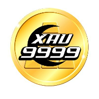 Top 100 XAU9999 Meme Rich Address List | CoinCarp