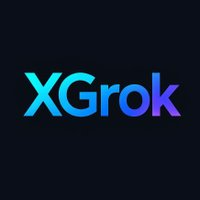 XGROK price now, Live XGROK price, marketcap, chart, and info | CoinCarp