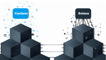 Cardano vs Solana: Which One is Better for the Future? | CoinCarp