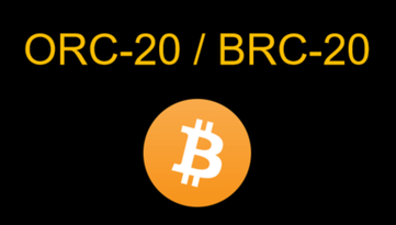 什么是ORC-20代币？ | CoinCarp