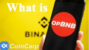 opBNB: The Ultimate Scalability Solution for BNB Smart Chain | CoinCarp