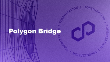 What is the Polygon Bridge? How to Use It? | CoinCarp