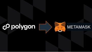 How to Add Polygon to MetaMask? | CoinCarp